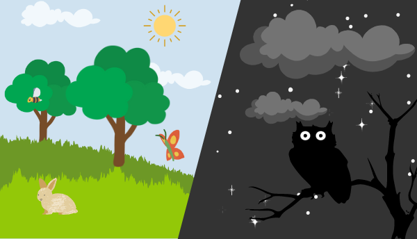 Shadow | The Schools' Observatory